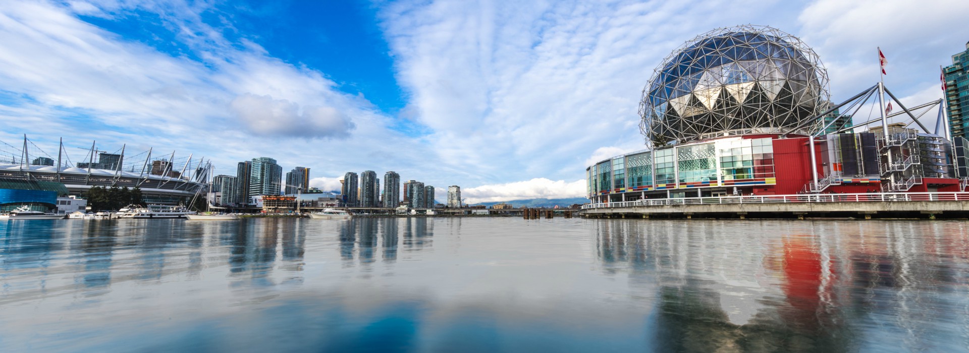 Home - Levy Show Service