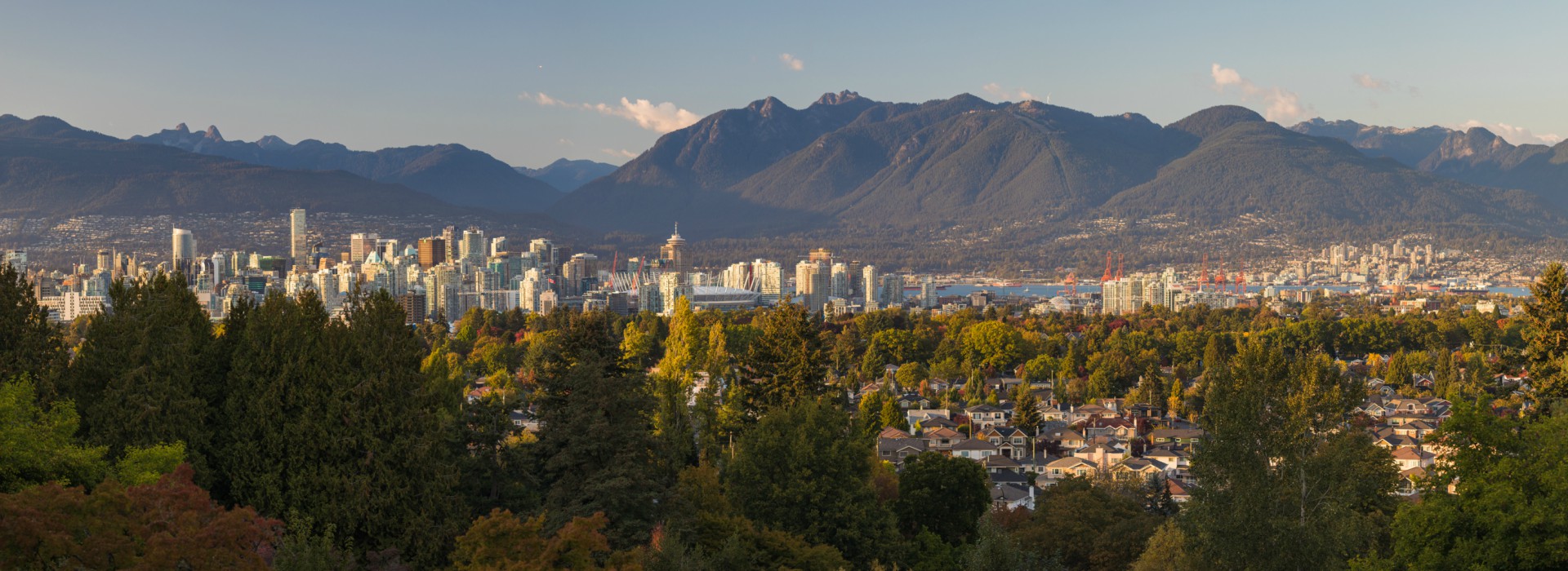 Home - Levy Show Service