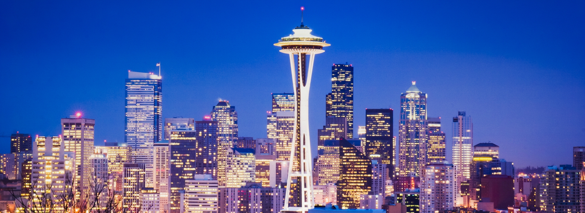 Home - Levy Show Service